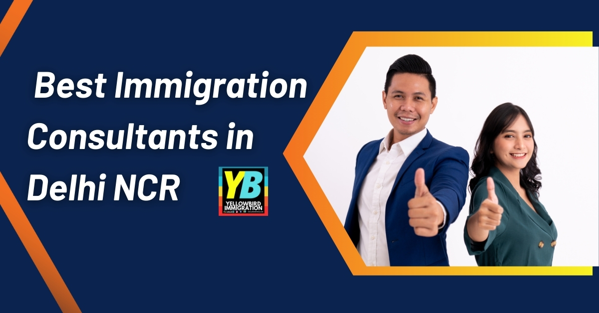 Best Immigration Consultants in Delhi NCR